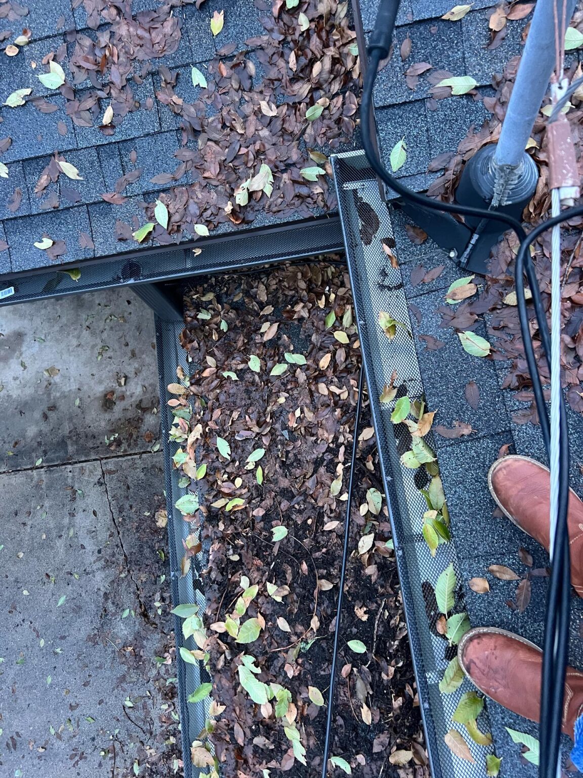 Rain Gutter Cleaning Services Near You | Roof & Leaf Removal